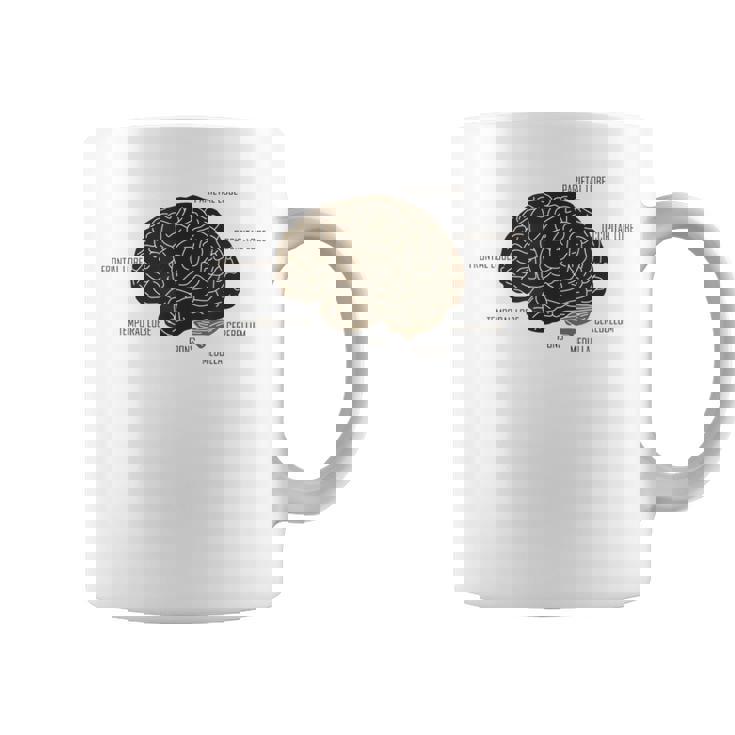 Human Anatomy Brain Science I Students Teachers Coffee Mug | Mazezy