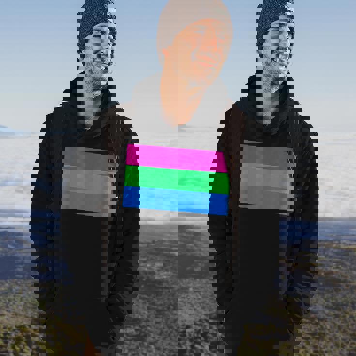 Poly Sexuality Pride Flag Gift Idea Graphic Lgbtq Hoodie | Mazezy