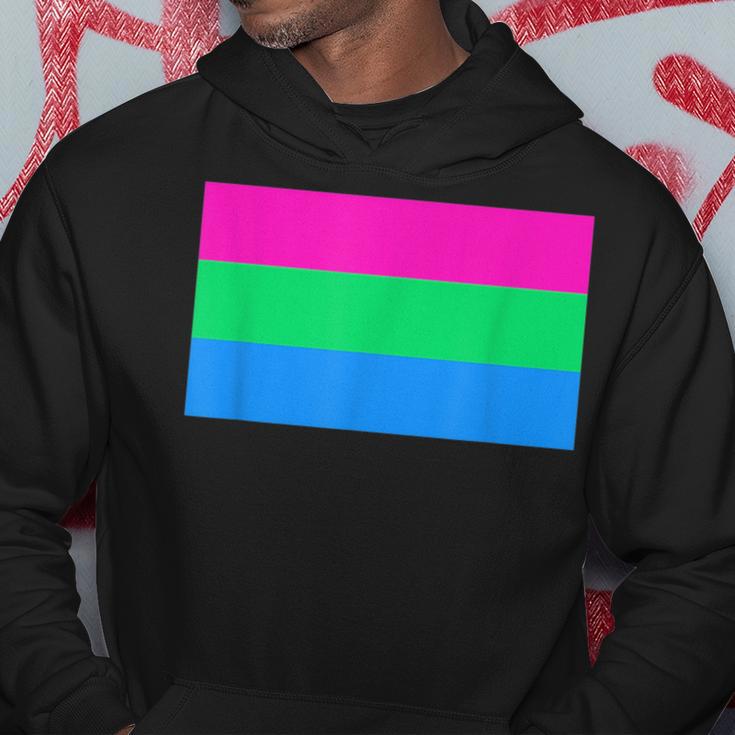 Poly Sexuality Pride Flag Gift Idea Graphic Lgbtq Hoodie | Mazezy