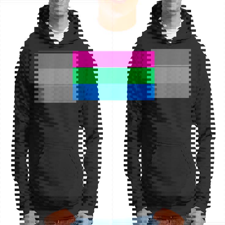 Poly Sexuality Pride Flag Gift Idea Graphic Lgbtq Hoodie | Mazezy