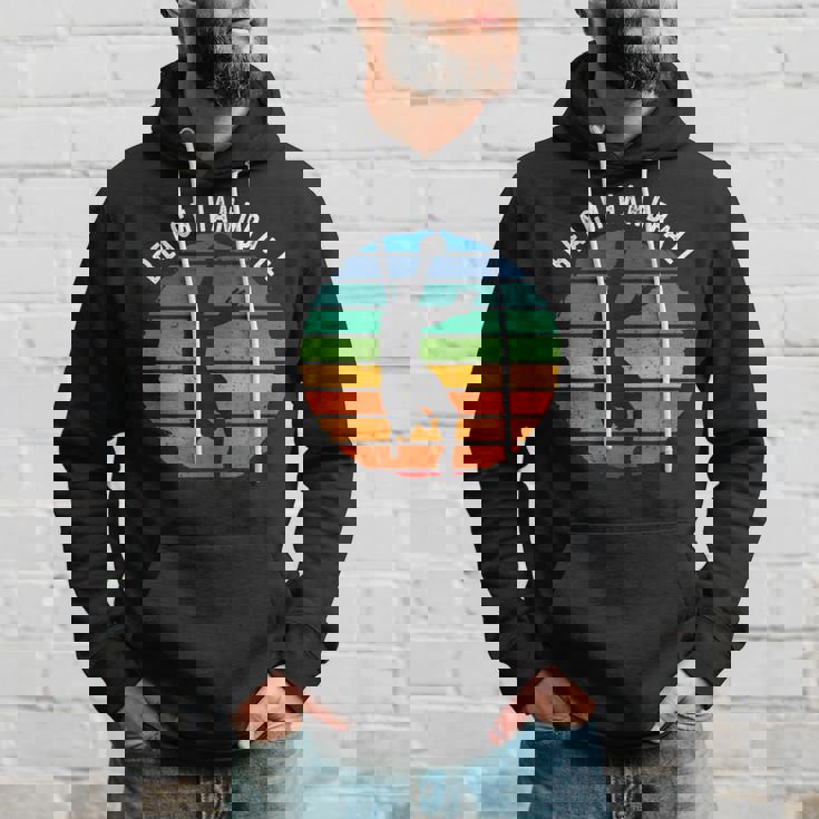 Vintage Beach Handball Apparel Beach Handball Sunset Hoodie | Mazezy