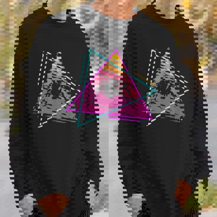 Retro Huntsman Spider Spiders Sweatshirt | Mazezy