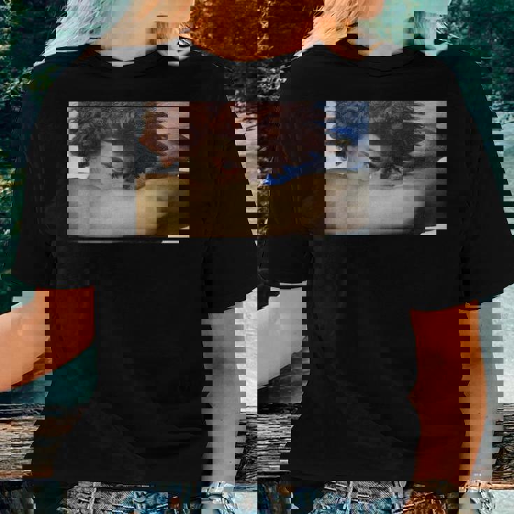 Fallen Angel Alexandre Cabanel Renaissance Aesthetic Women T-shirt | Mazezy