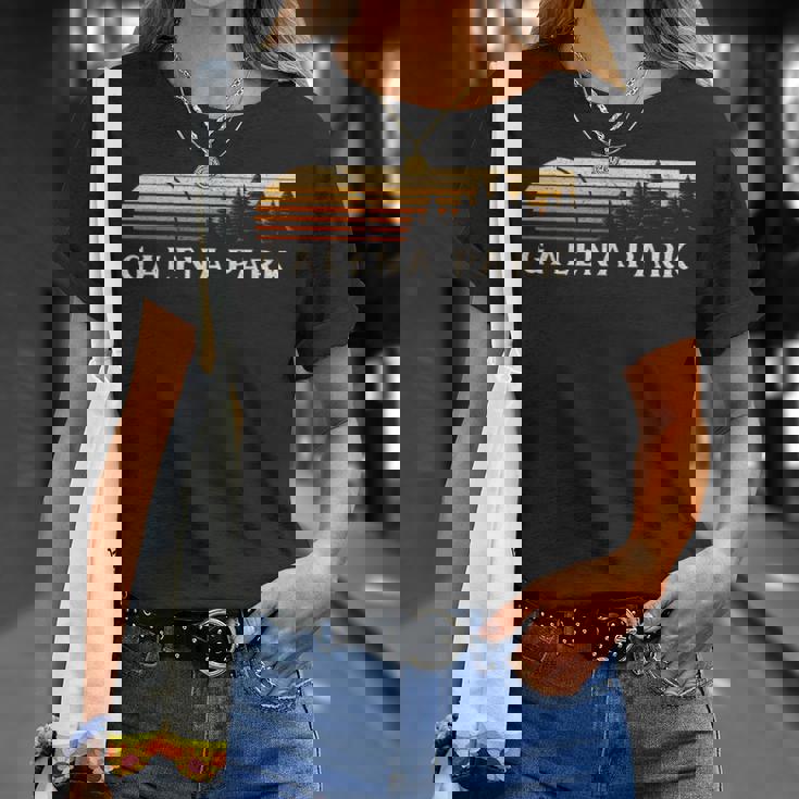 Galena Park Tx Vintage Evergreen Sunset Eighties Retro T-Shirt | Mazezy