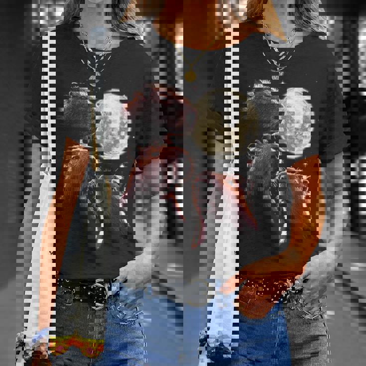 Three Capybara Moon Funny Capybara Meme Mystical Capybara Unisex T ...