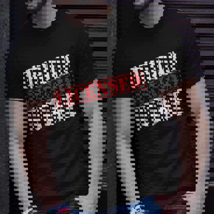 Driving License 2024 Passed Driving Test Driving Permit, 46% OFF