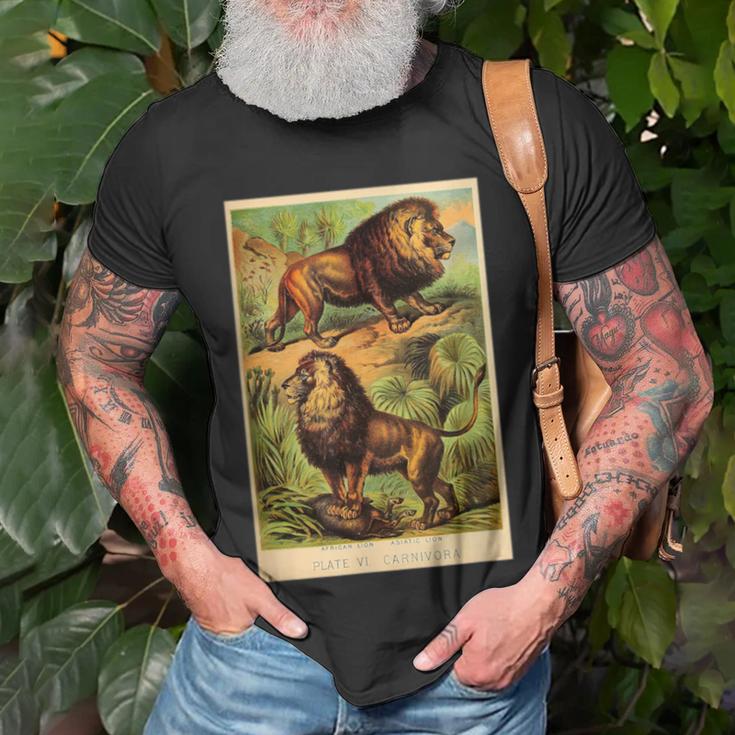 African Lion Asiatic Lion Vintage Animal Lithograph T-Shirt | Mazezy